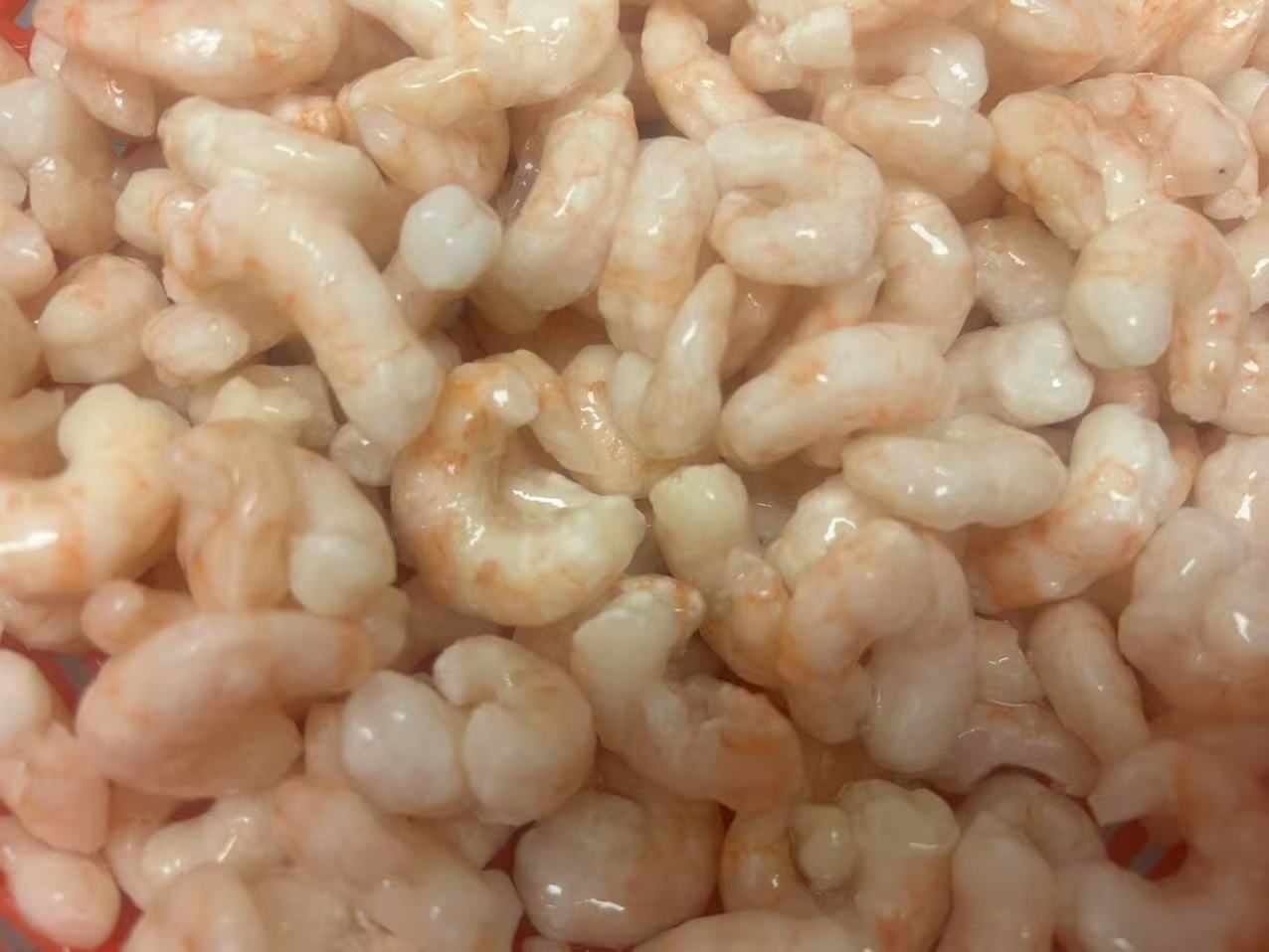 Yonge Seafood Gourmet | Fresh | Wild Caught | Organic