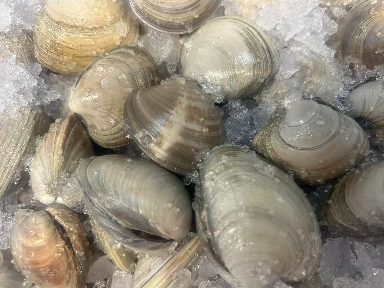 Yonge Seafood Gourmet | Fresh | Wild Caught | Organic